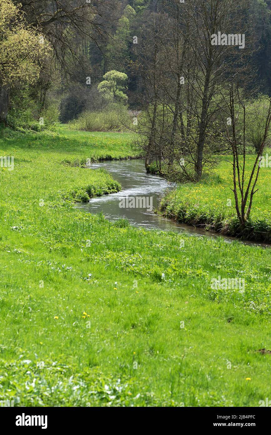 Spring in the Aufsess valley, the little river Aufsess in its upper ...