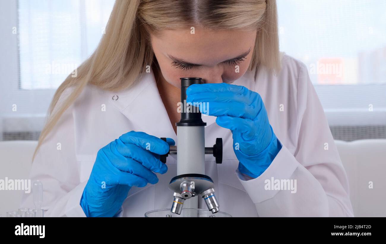 Female scientist laboratory assistant looks at a petri dish with ...