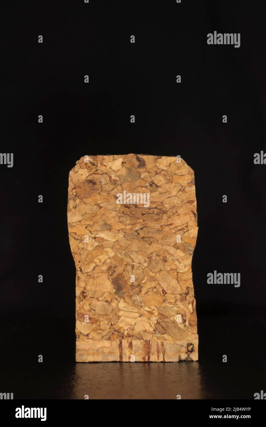 Halved, pressed natural cork for a champagne bottle, studio photography ...