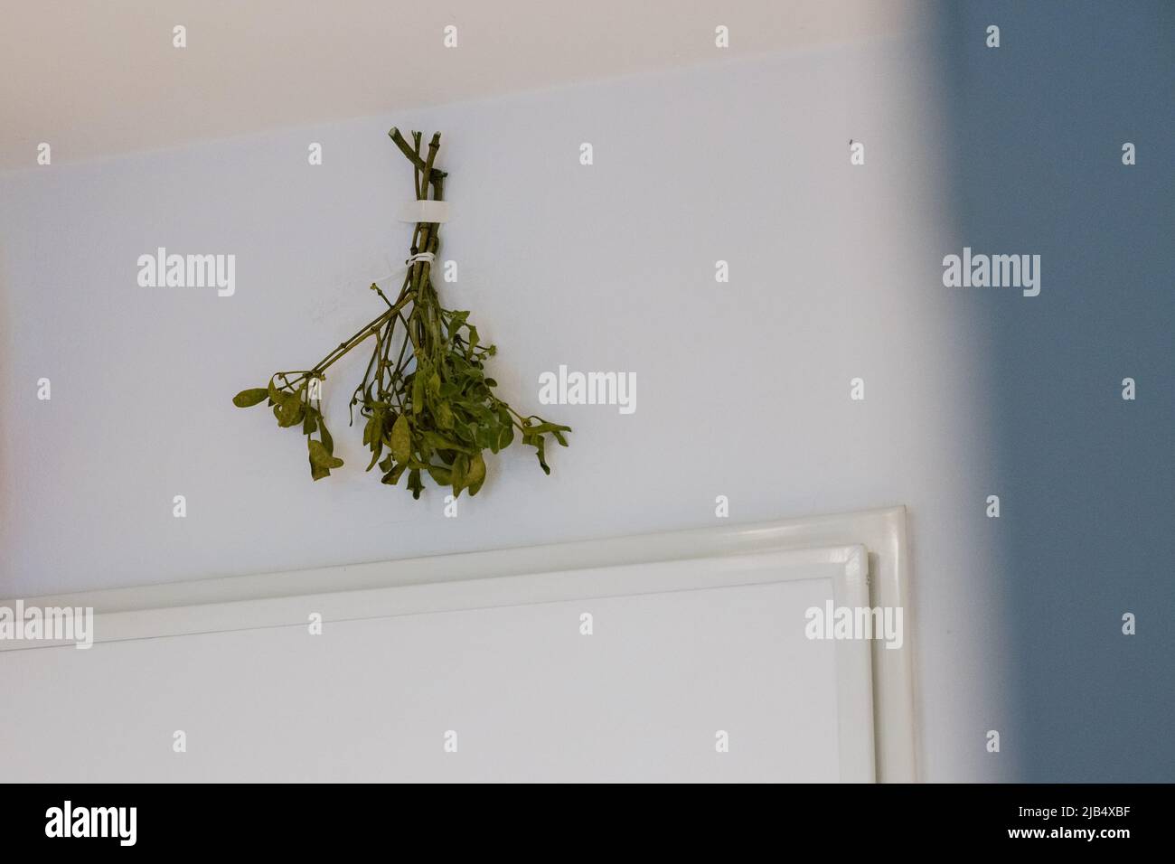Dried branch hanging from above the door, common sight of branches ...
