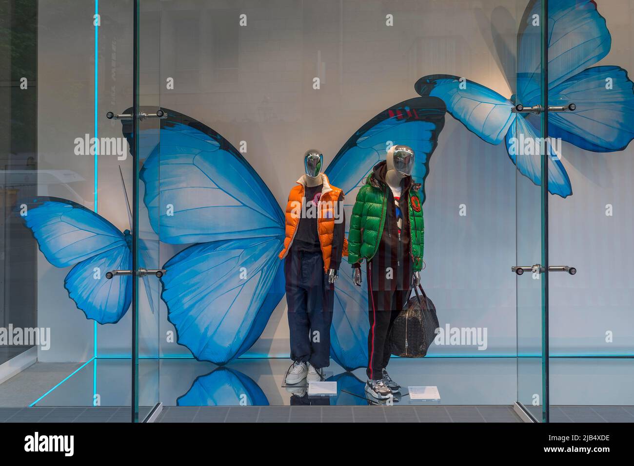 Butterflies of germany hi-res stock photography and images - Alamy