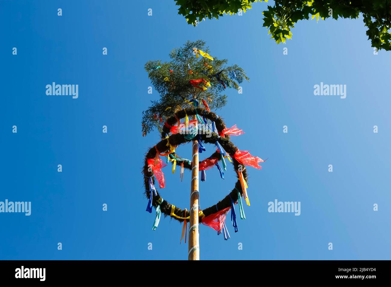 Maypole, decorated tree trunk, tradition, customs, village centre ...