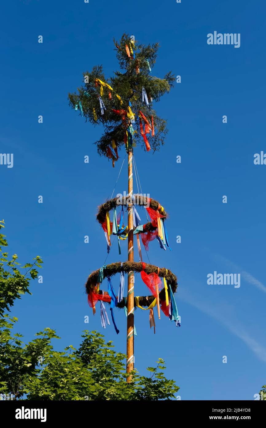 Maypole, decorated tree trunk, tradition, customs, village centre ...