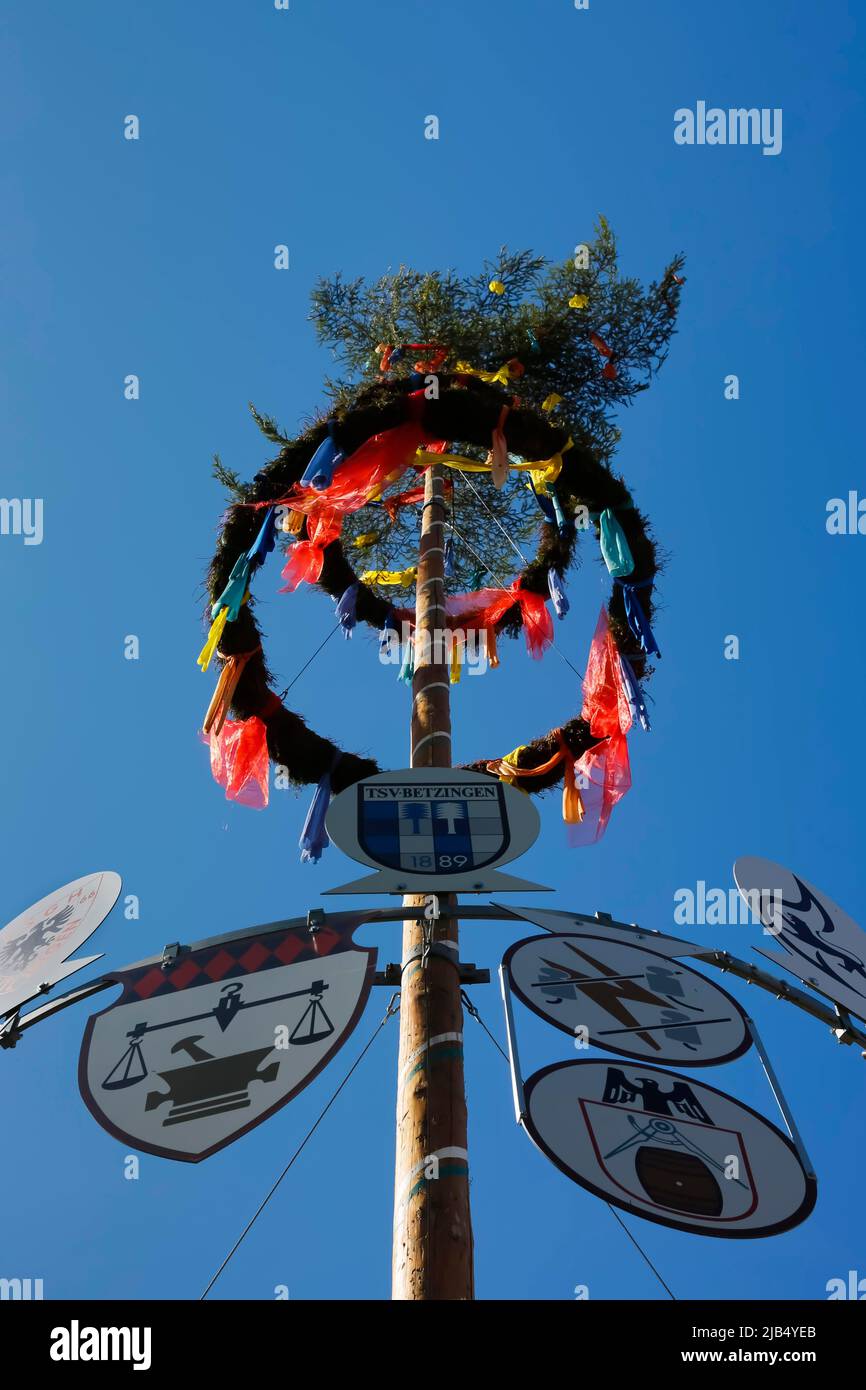 Maypole, decorated tree trunk, guild signs, tradition, customs, village ...