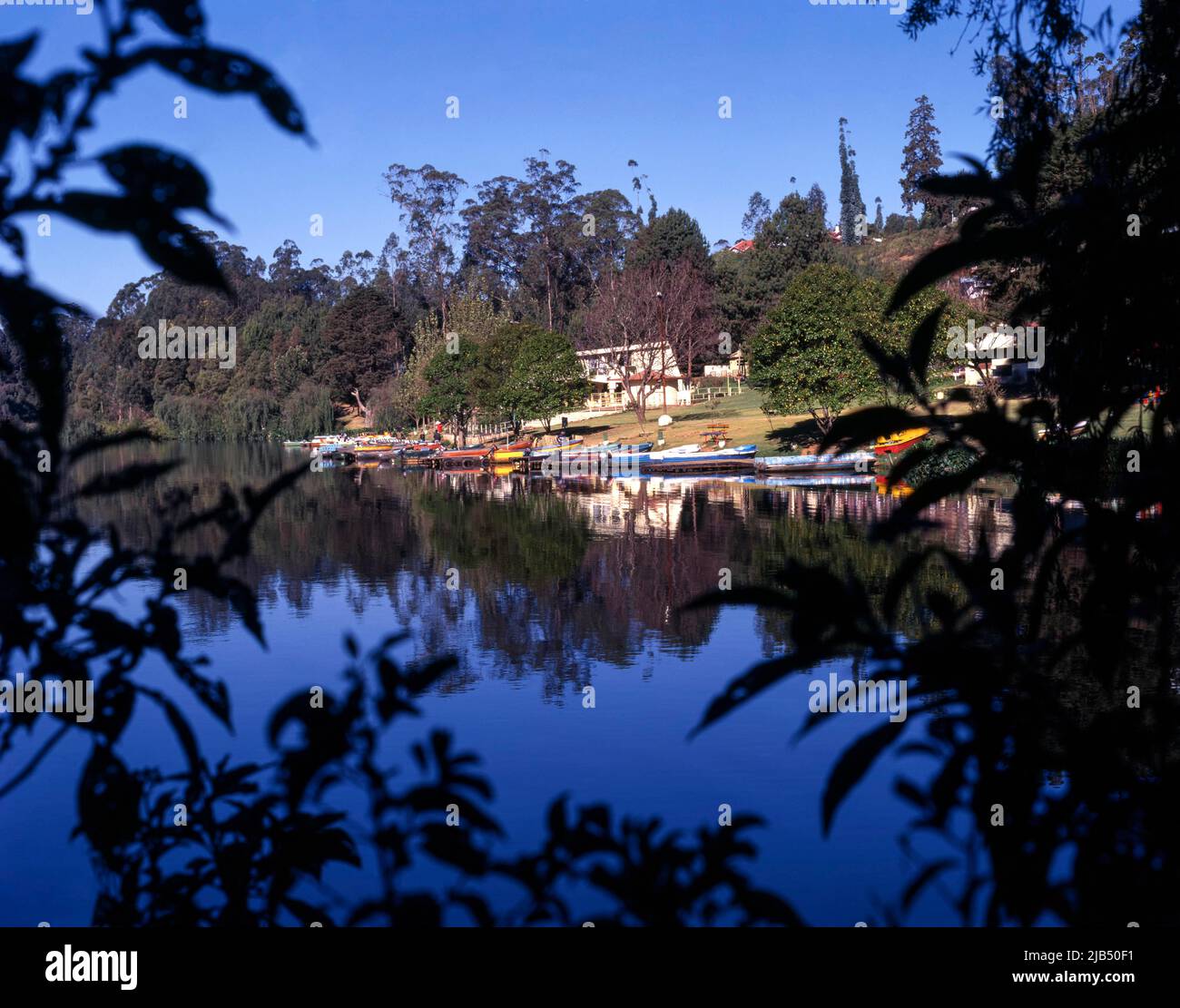Colourful Boats in front of boat house, Udhagamandalam or Ooty ...