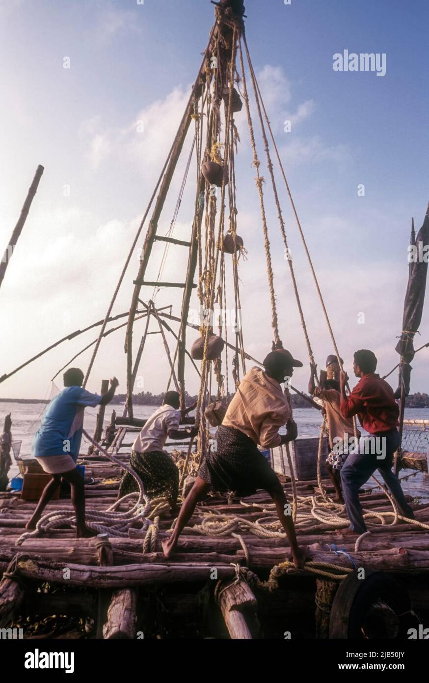 Operating the Chinese fishing nets or Cheena vala in Fort Kochi or ...