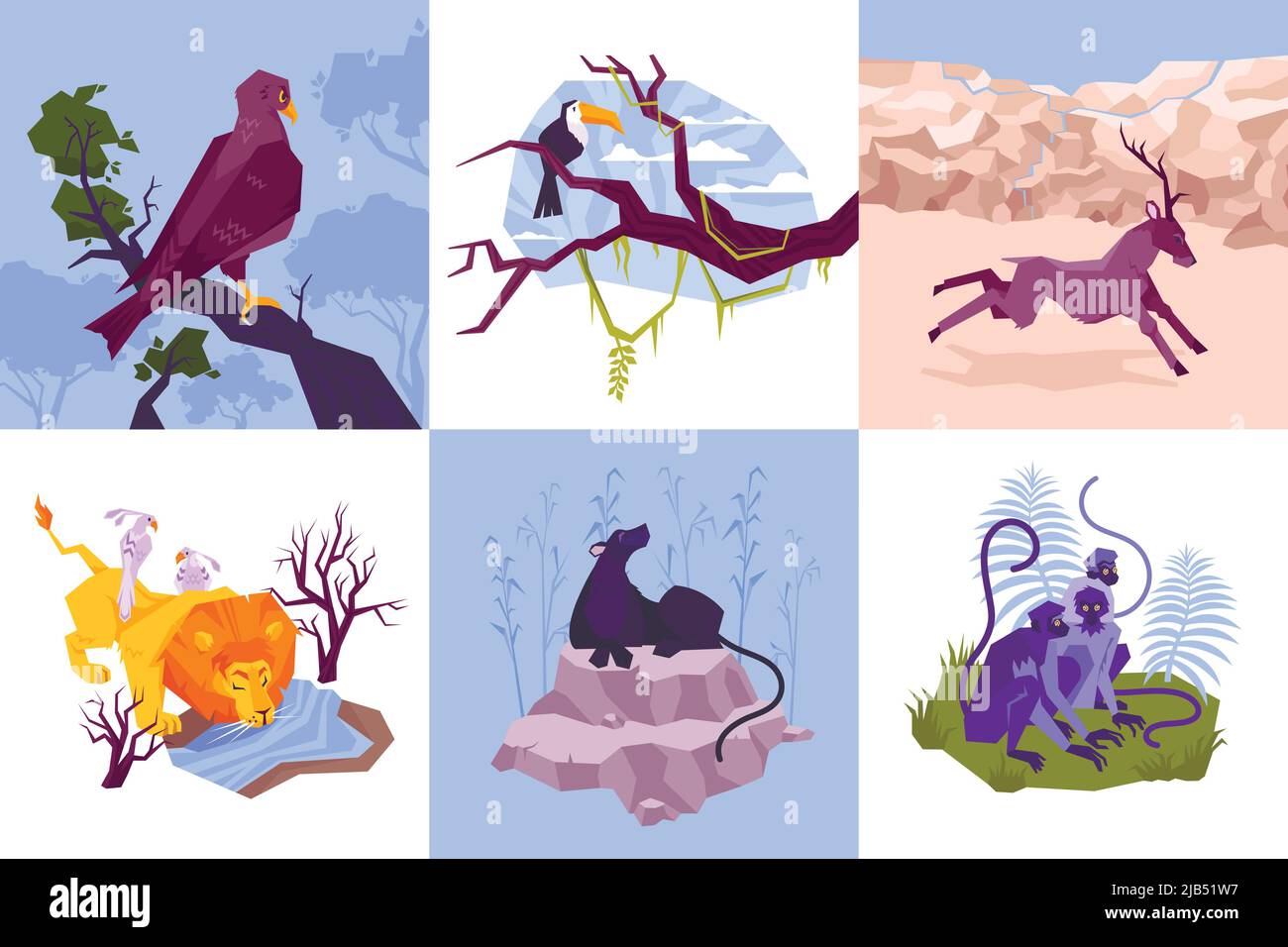Set of six square compositions with flat tropical landscapes and exotic ...