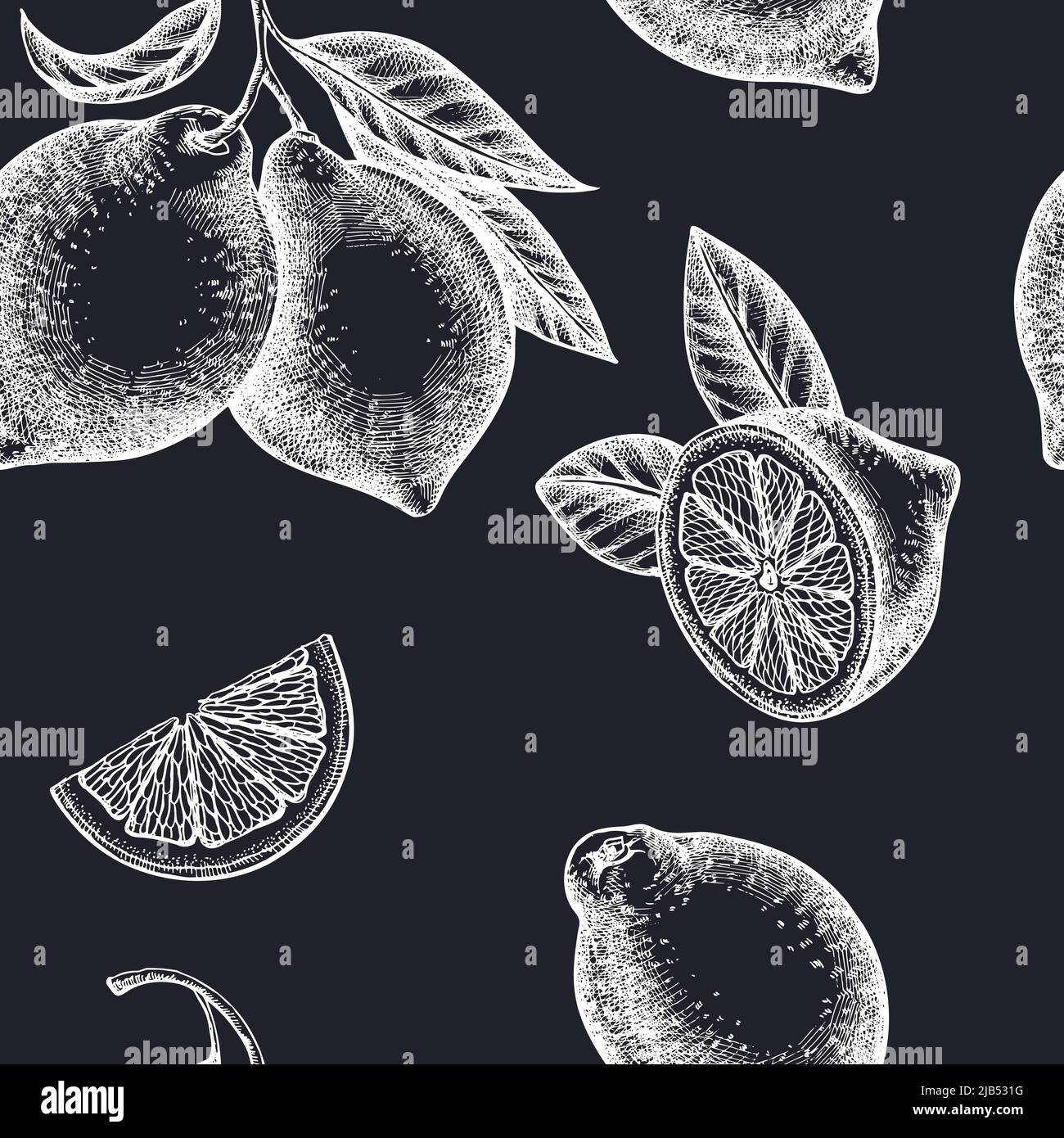 Citrus seamless pattern background design. Engraved style. Hand drawn lemon Stock Vector Image ...