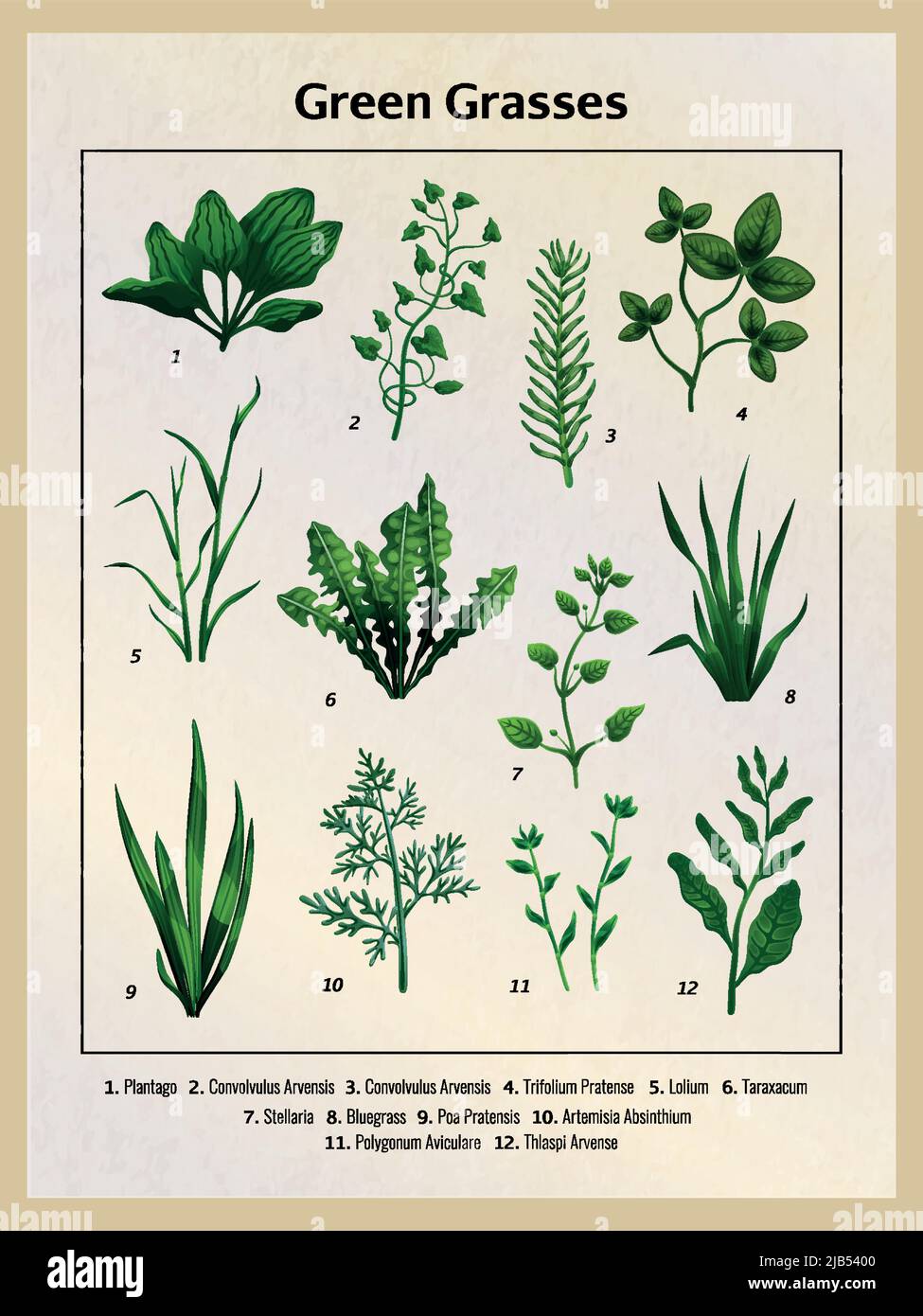 Field names Stock Vector Images - Alamy