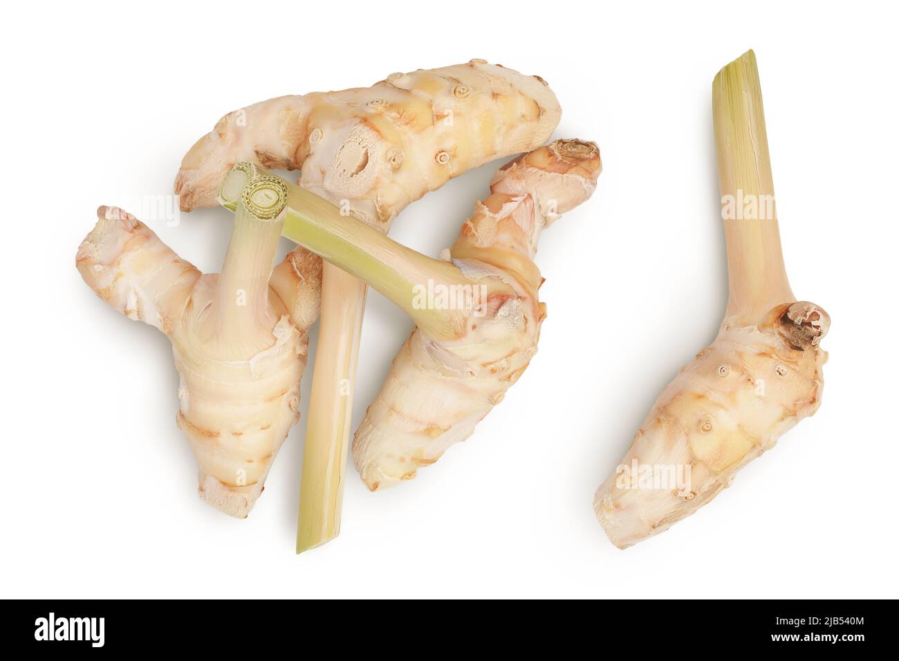 Fresh galangal root isolated on white background with full depth of ...