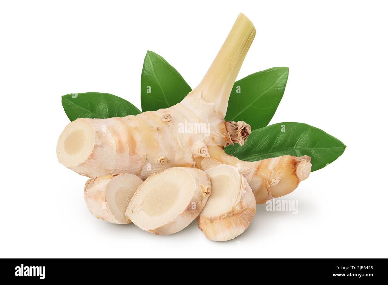 Fresh galangal root with slices isolated on white background with full ...