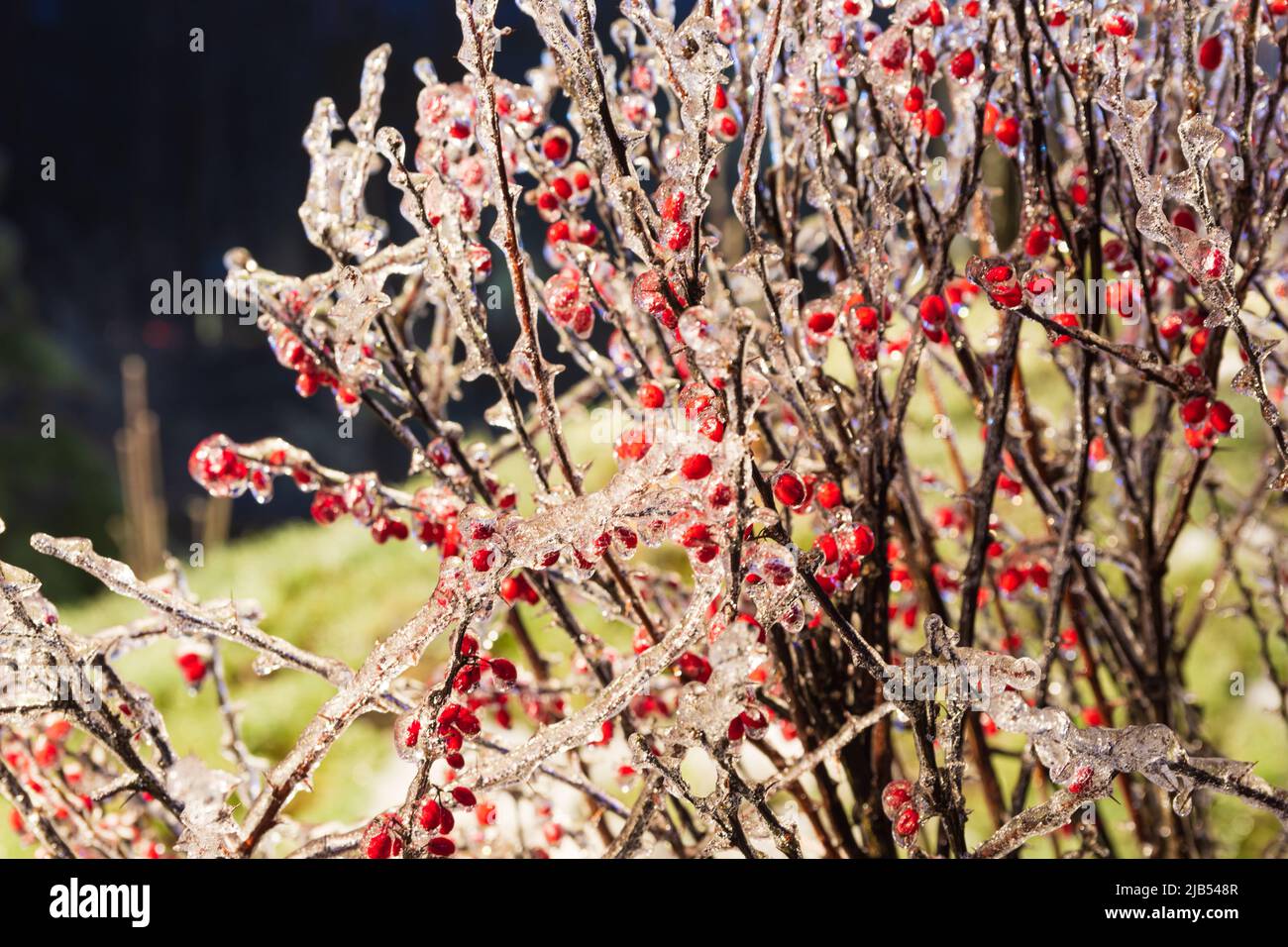 Bucha ukraine road hi-res stock photography and images - Alamy