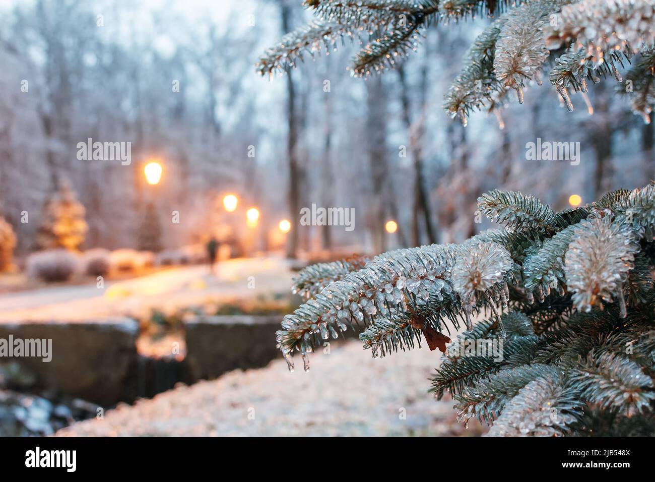 Bucha ukraine road hi-res stock photography and images - Alamy