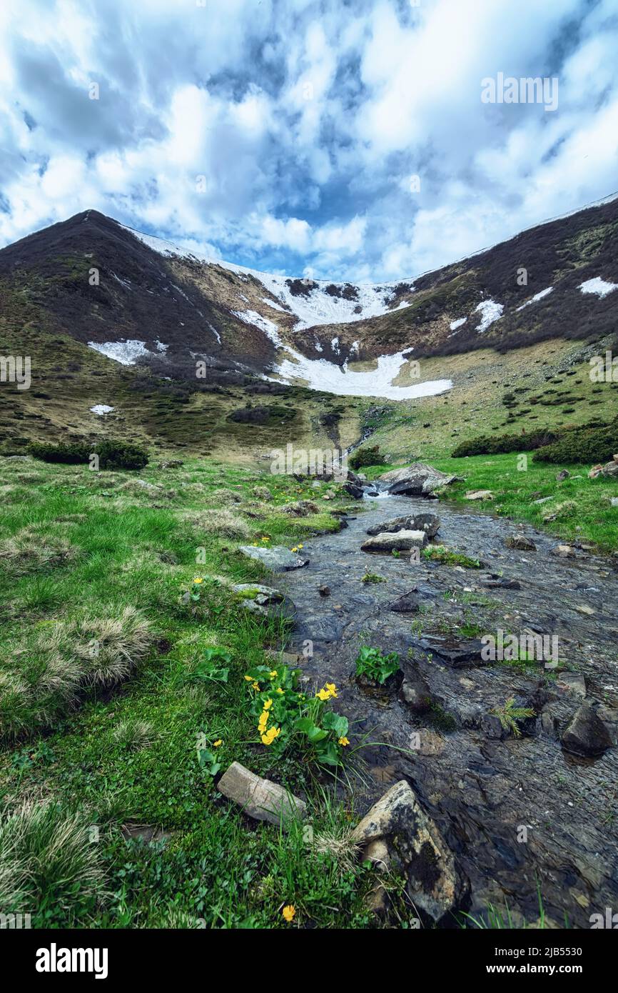 Mountain river in the highlands, green slopes of the Ukrainian ...