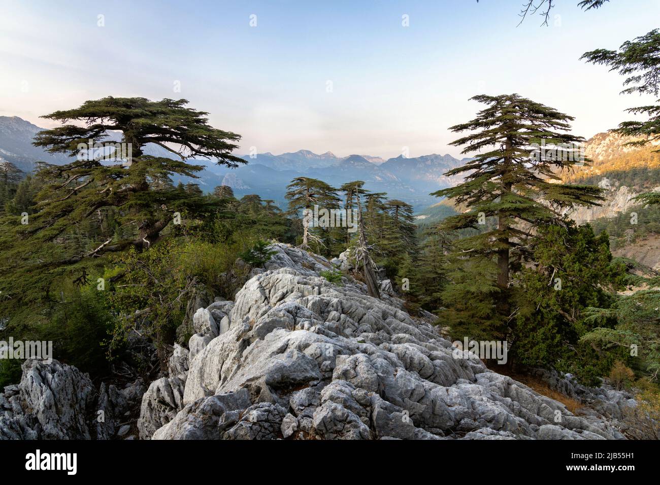 Mountain range in the Taurus mountains. Lebanese cedars on the mountain ...