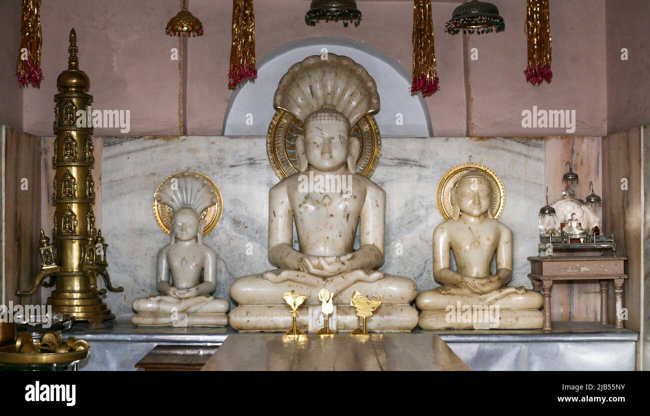 Jina Images from Khurai's Digambar Jain Temple Stock Photo - Alamy