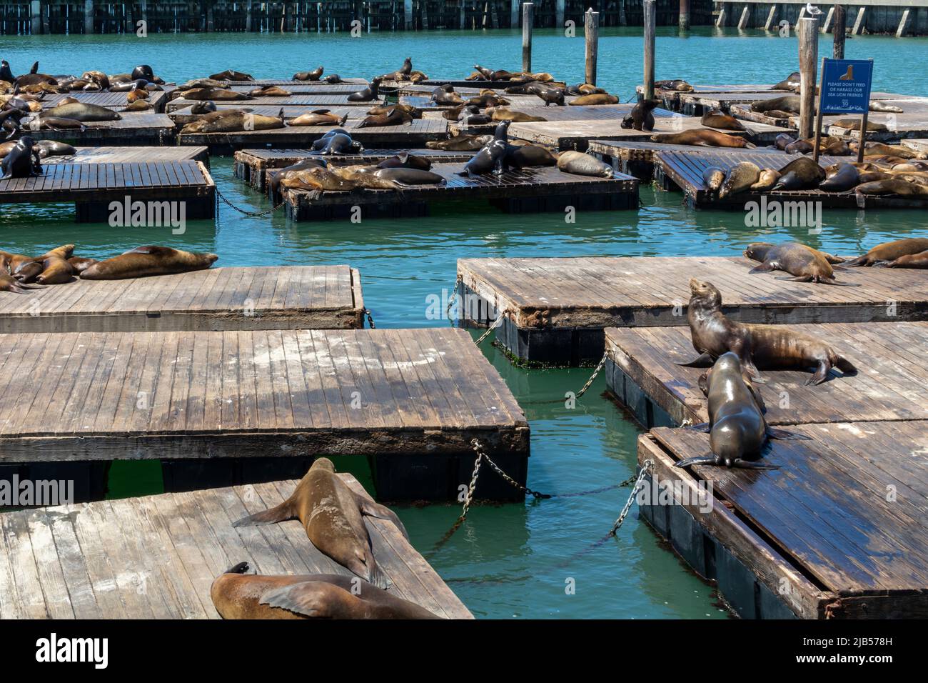 Seal platforms hi-res stock photography and images - Alamy
