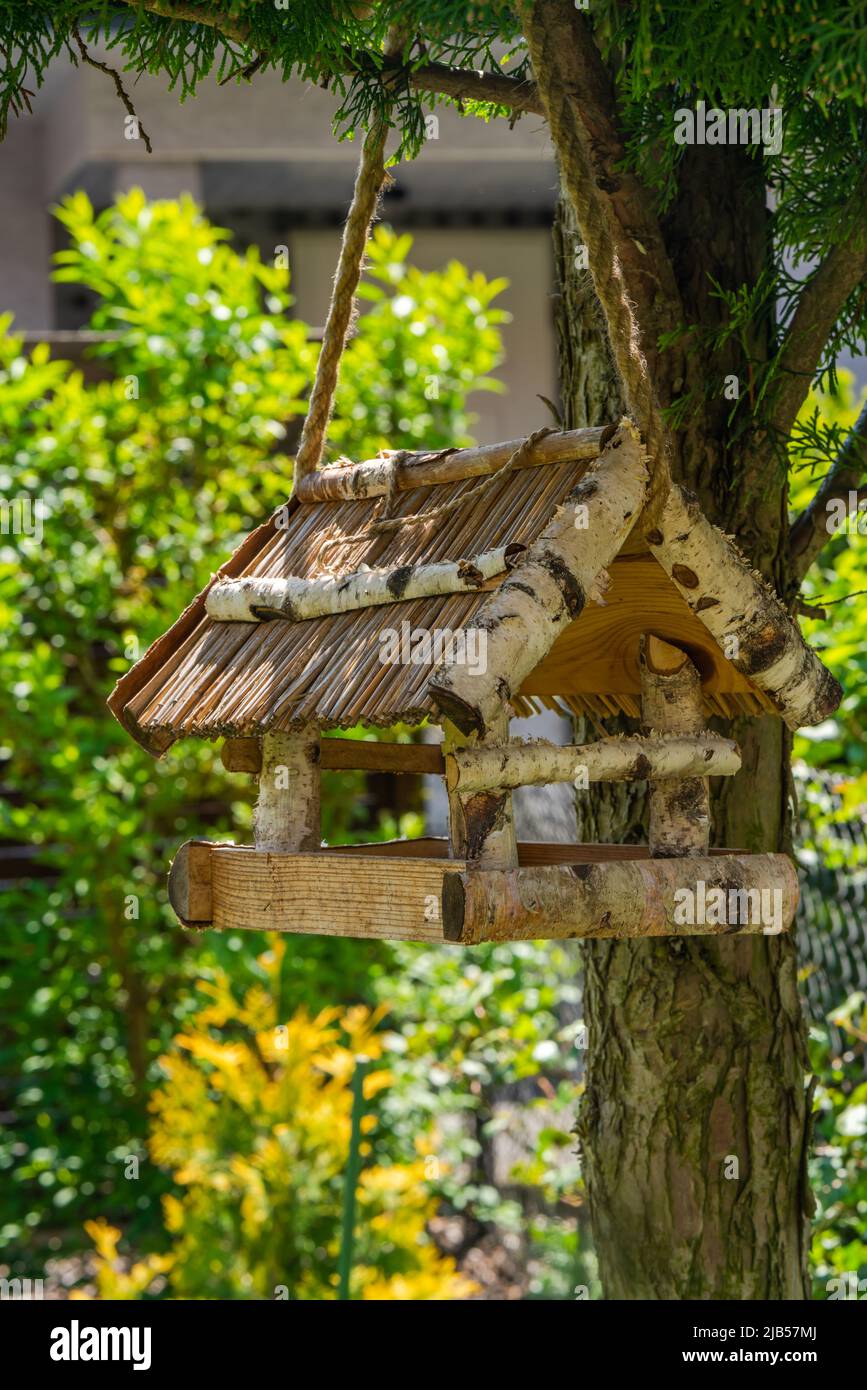 Backyard bird feeding area hi-res stock photography and images - Alamy