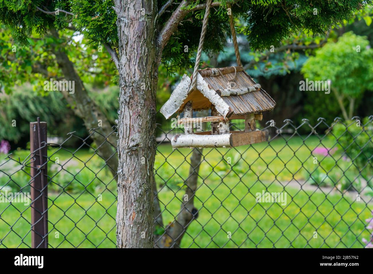 Backyard bird feeding area hi-res stock photography and images - Alamy