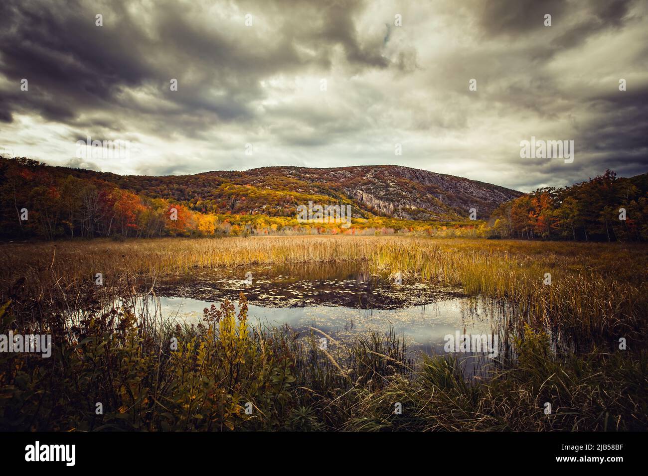 Fall in the Acadia National Park with colorful fall foliage and ...