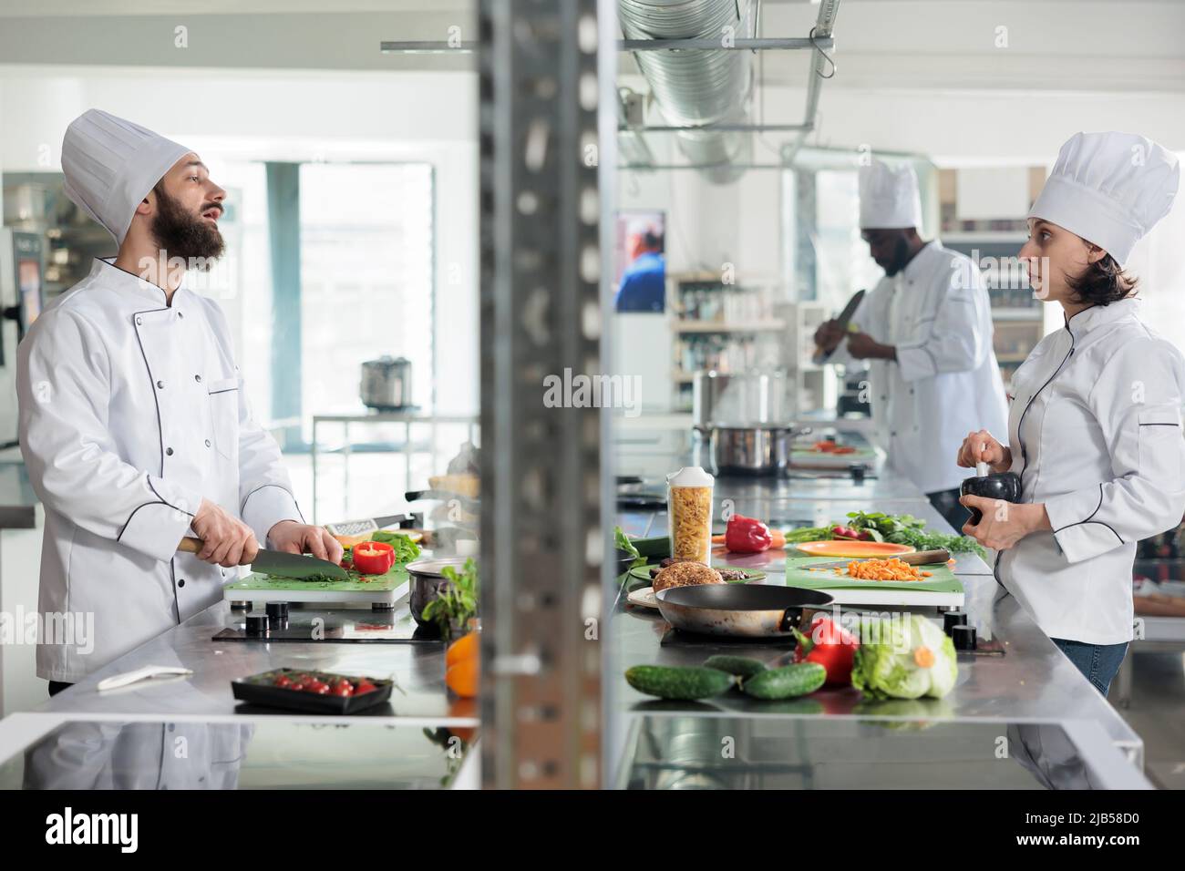 Diverse food industry workers discussing about gourmet dish recipe ...