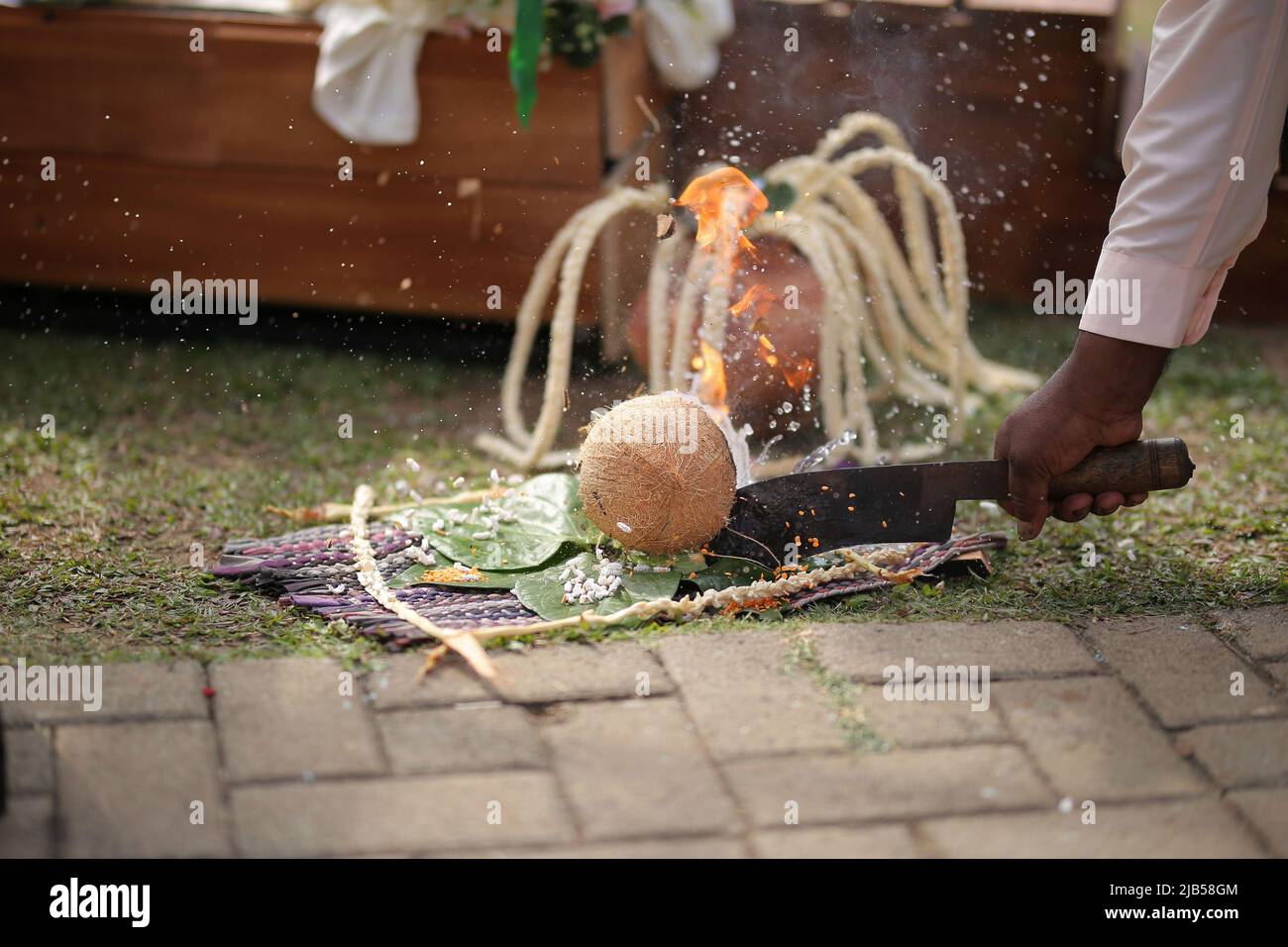 Breaking a coconut Srilanka wedding Stock Photo - Alamy