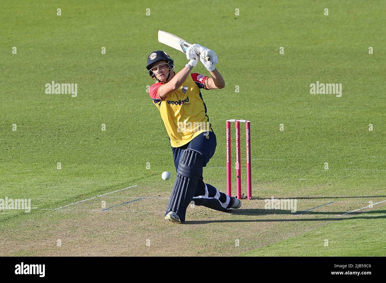 Michael Pepper in batting action for Essex during Glamorgan vs Essex ...