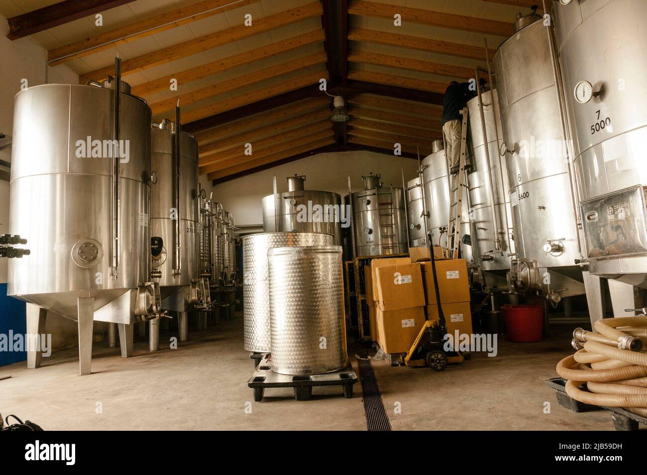 Planta de alcohol hi-res stock photography and images - Alamy