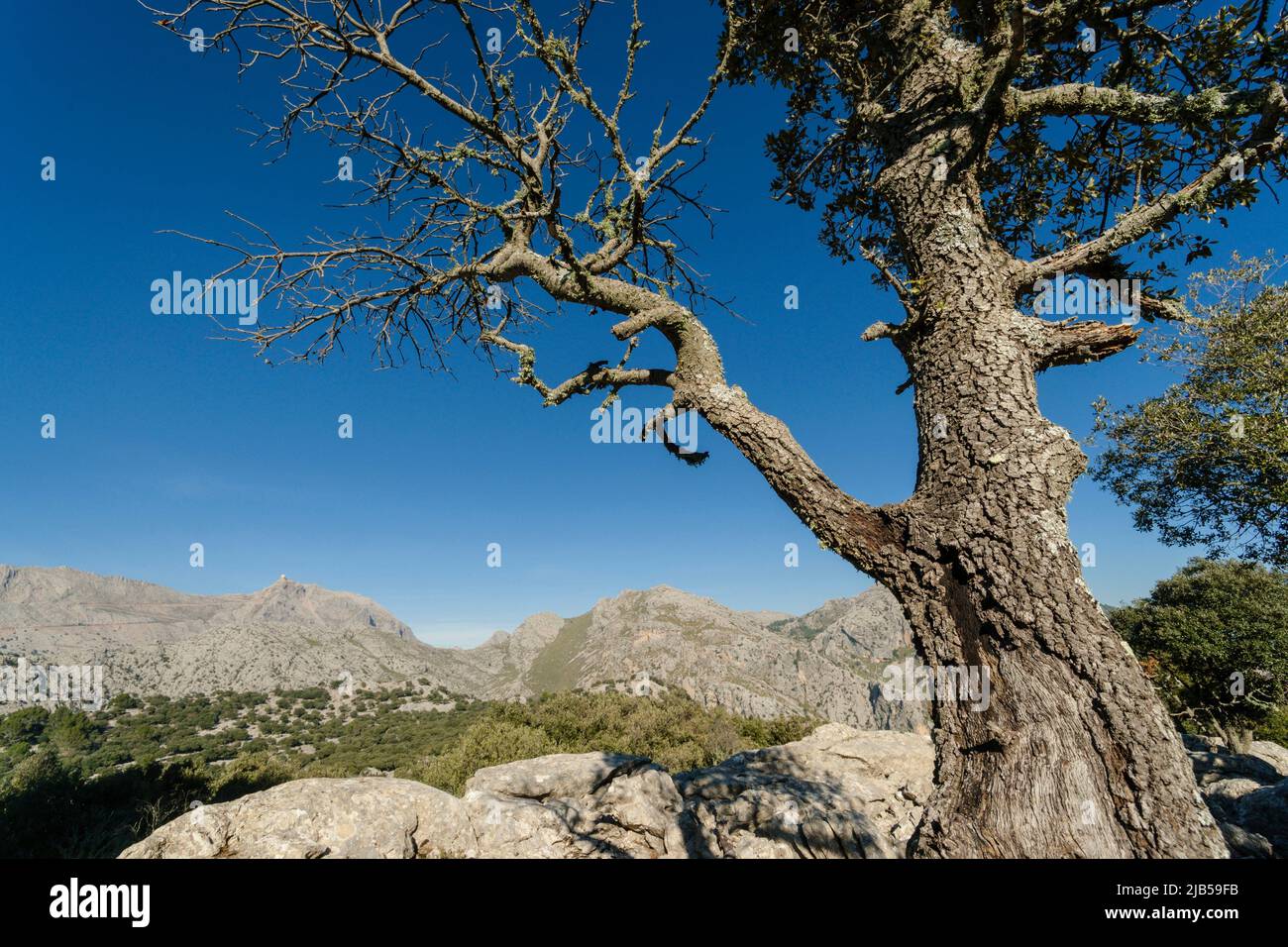 Sa cova hi-res stock photography and images - Alamy