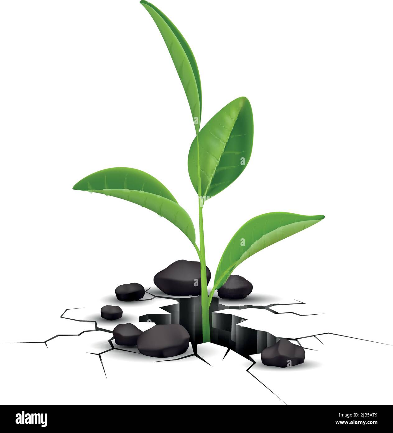 Plant Growing Clipart