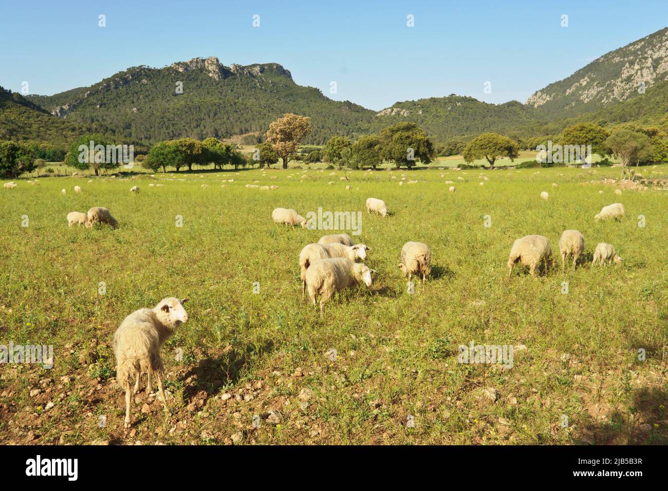 Espacio de campo hi-res stock photography and images - Alamy