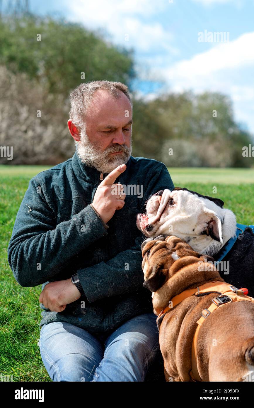 Man and English bulldog hugging in the park in sunny day in summe Stock ...