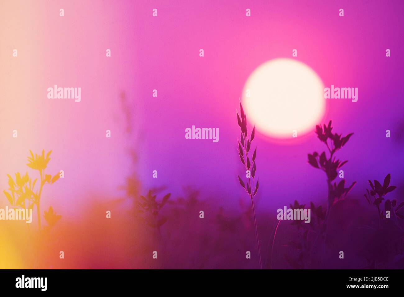 Photo of sun hi-res stock photography and images - Alamy