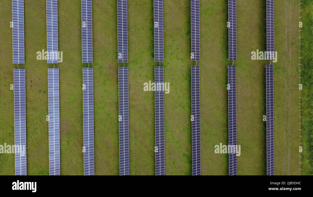 Aerial view of Solar Panels Farm solar cell with sunlight. Drone flight ...