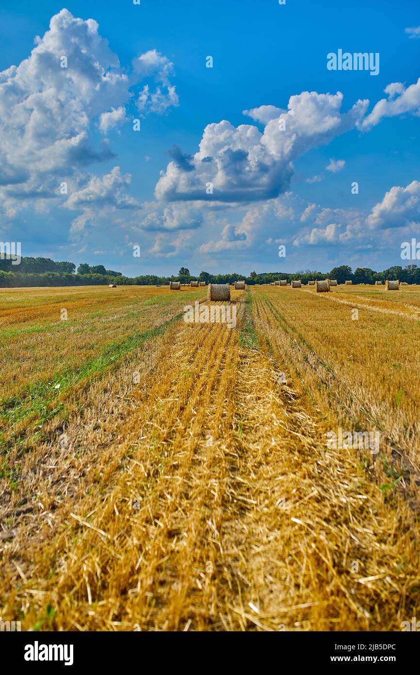 Grain from ukraine hi-res stock photography and images - Alamy