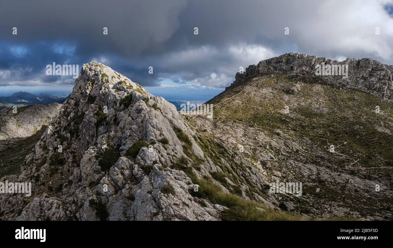 Serra de col hi-res stock photography and images - Alamy