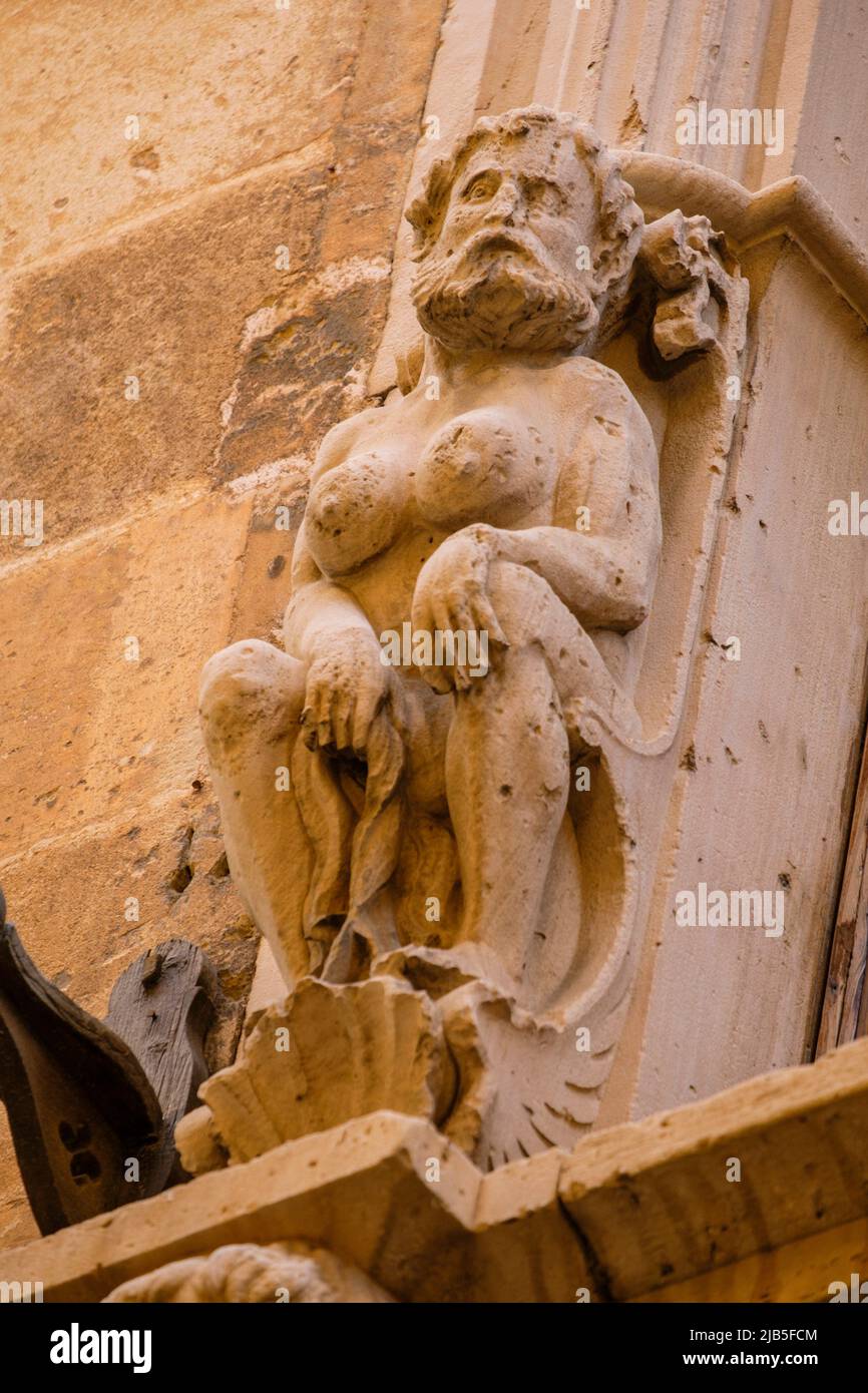 Can catlar del llorer palma hi-res stock photography and images - Alamy