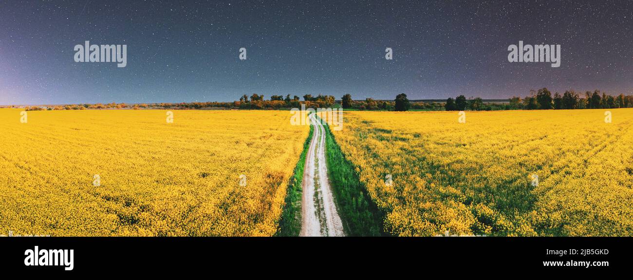 Starry night view hi-res stock photography and images - Alamy