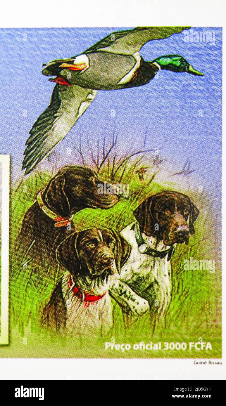 MOSCOW, RUSSIA - MAY 20, 2022: Postage stamp printed in Guinea-Bissau ...