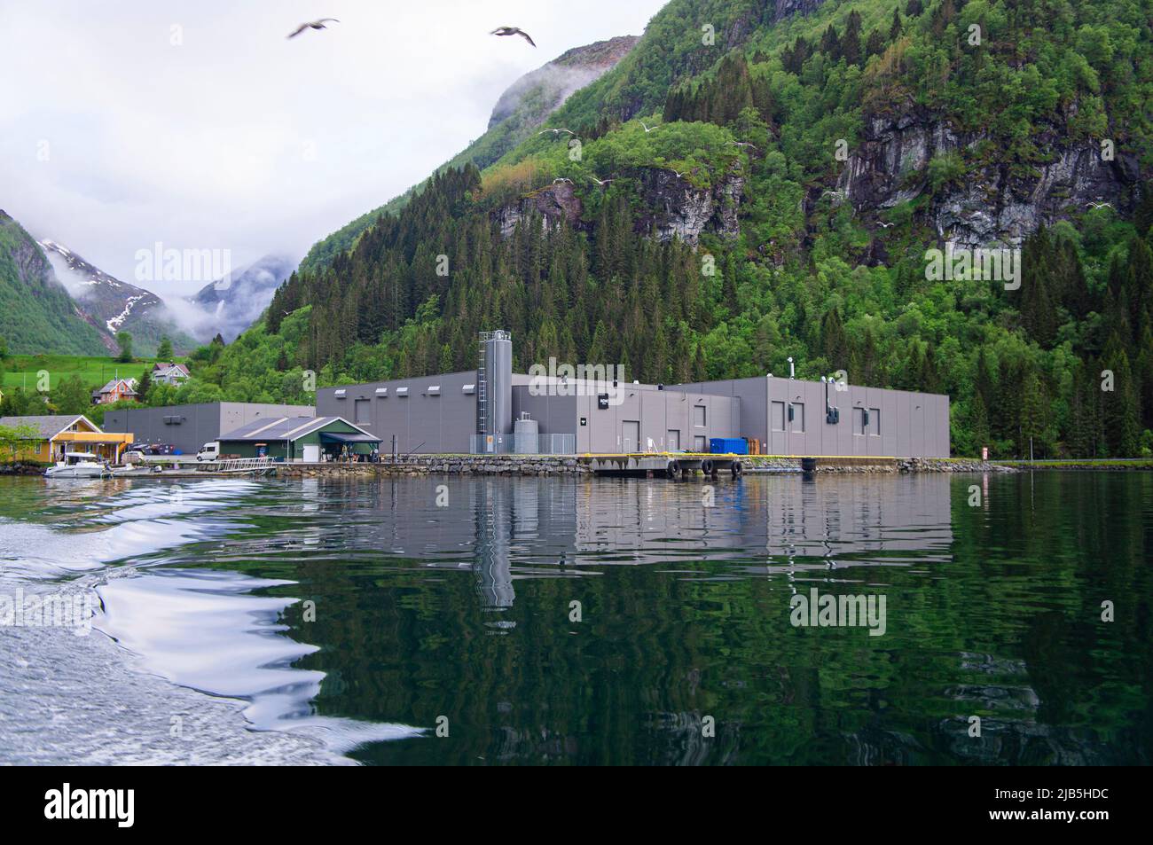 Mowi Steinsvik smolt facility in Steinsvik in the Volda municipality ...