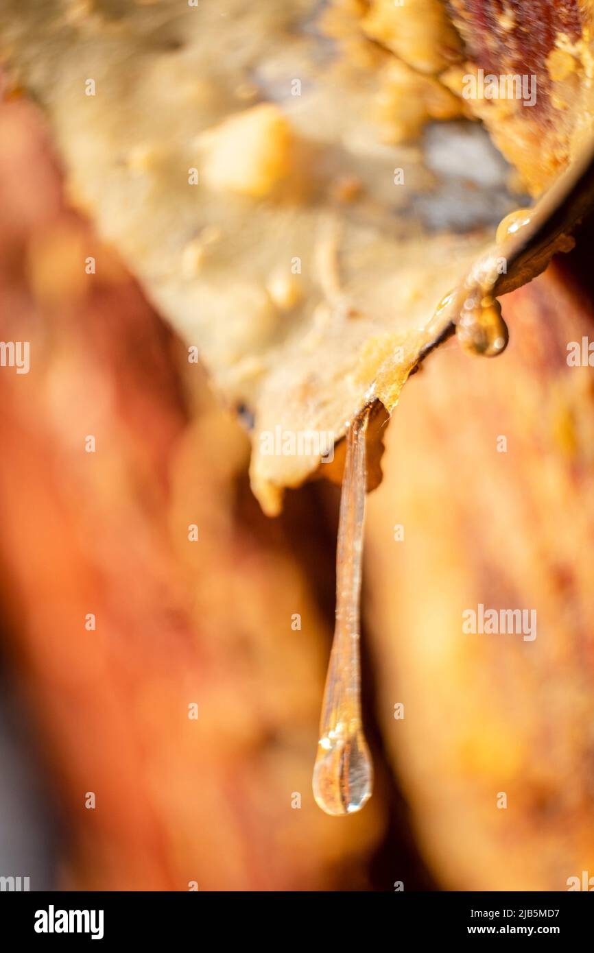 Biomass plant spain hi-res stock photography and images - Alamy