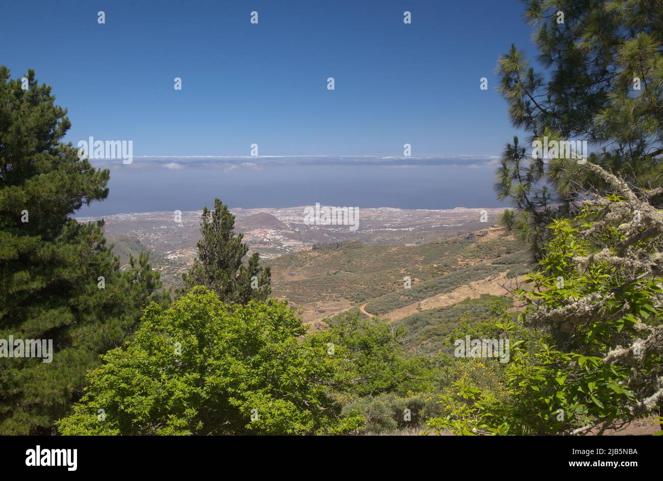 Gran Canaria, landscape of the San Mateo municipality, view towards ...