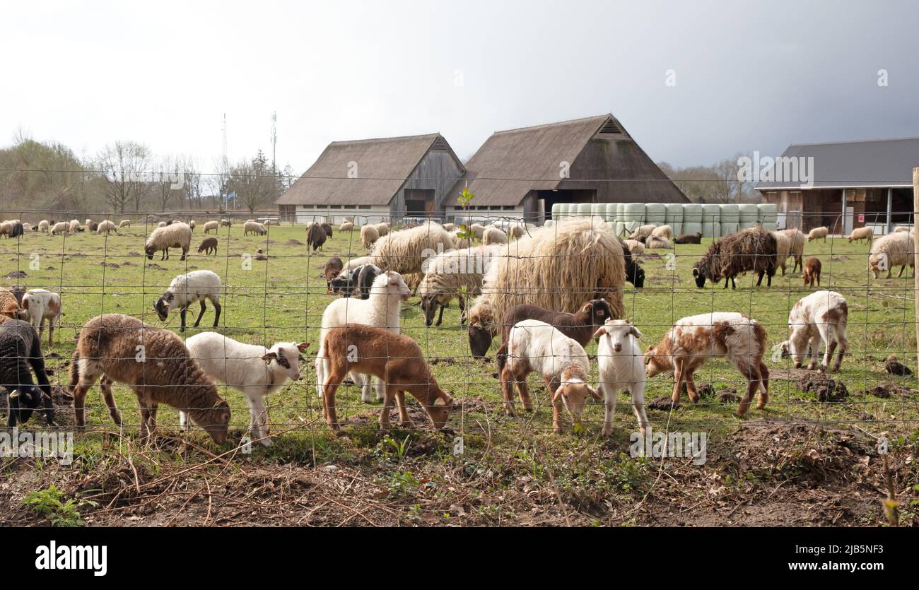 Many parent hi-res stock photography and images - Alamy