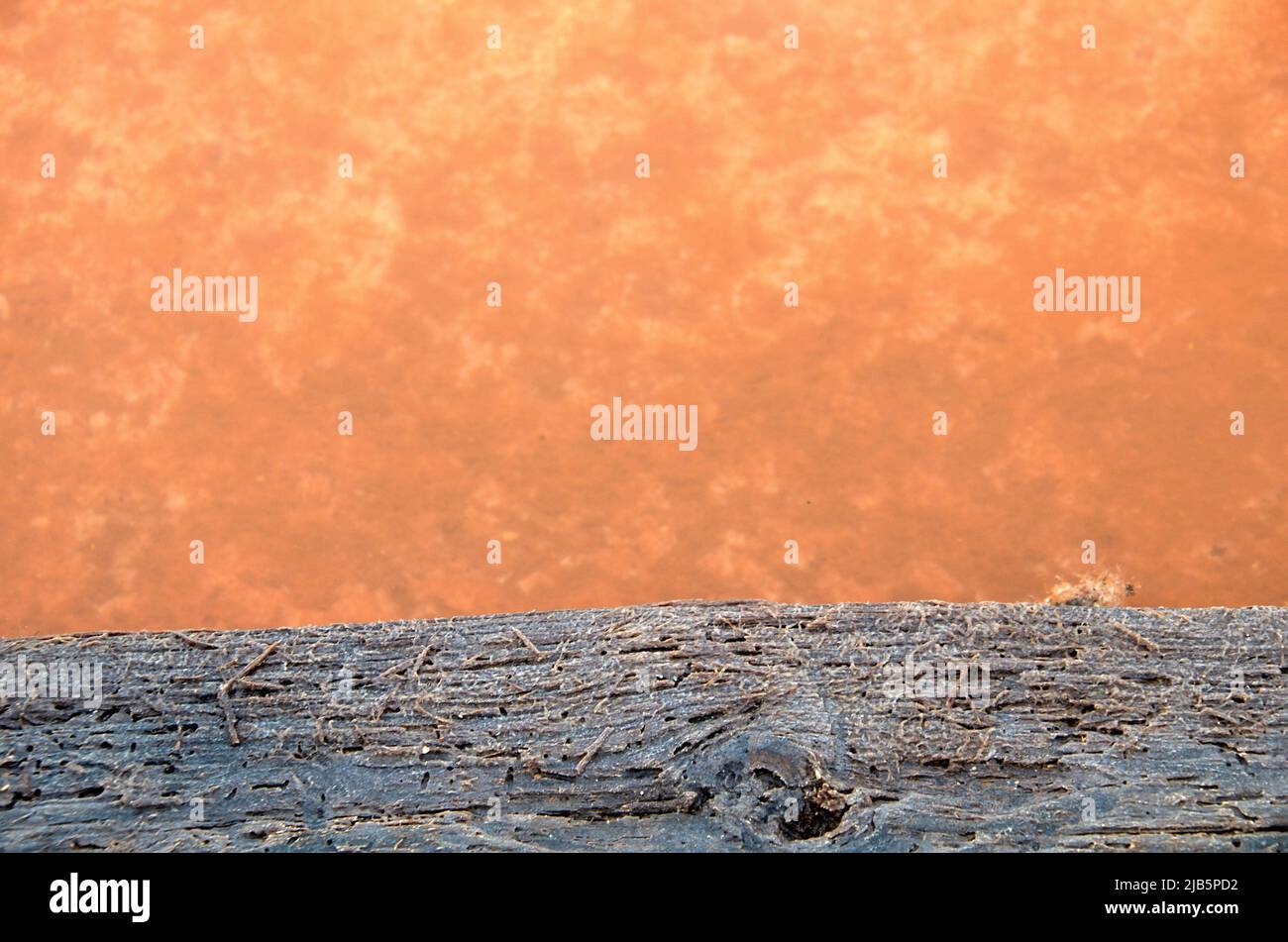 Texture made by the salt, mud and an rotten piece of wood Stock Photo ...