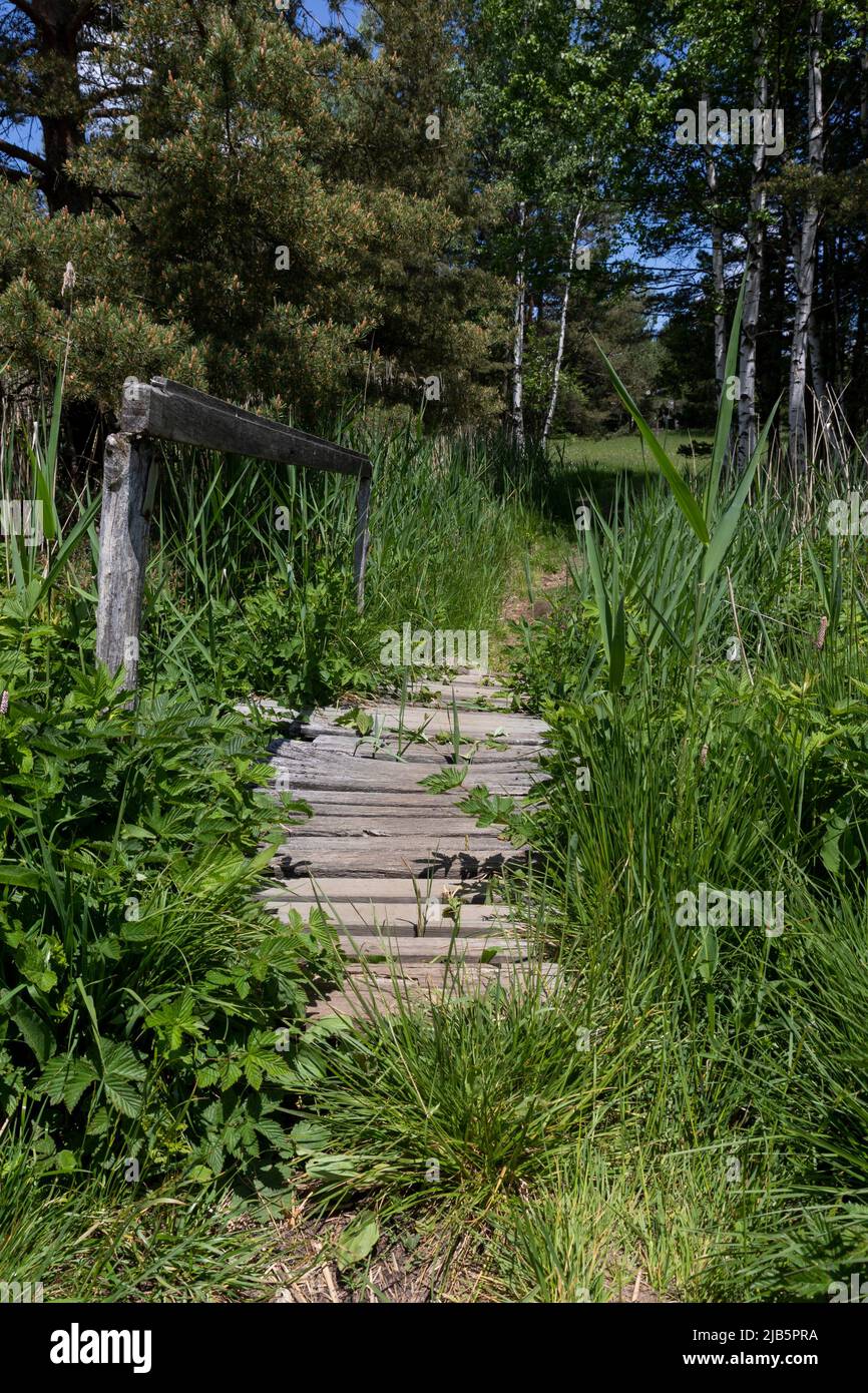Small park bridge hi-res stock photography and images - Alamy