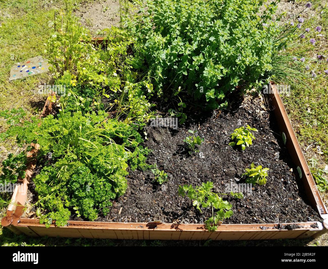 Planted bed hi-res stock photography and images - Alamy
