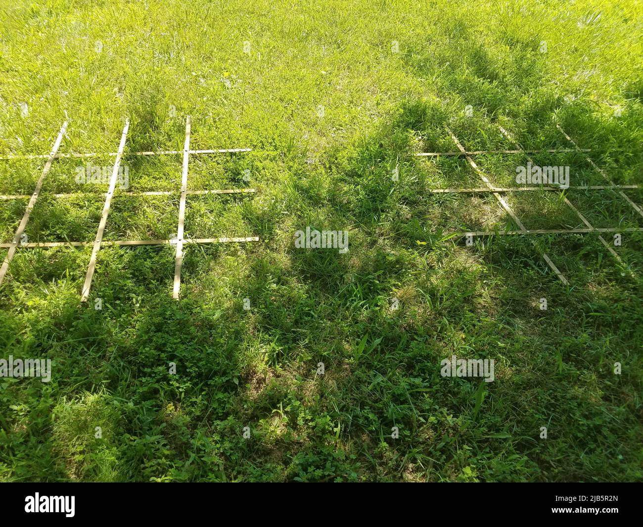 Squares of wood hi-res stock photography and images - Alamy