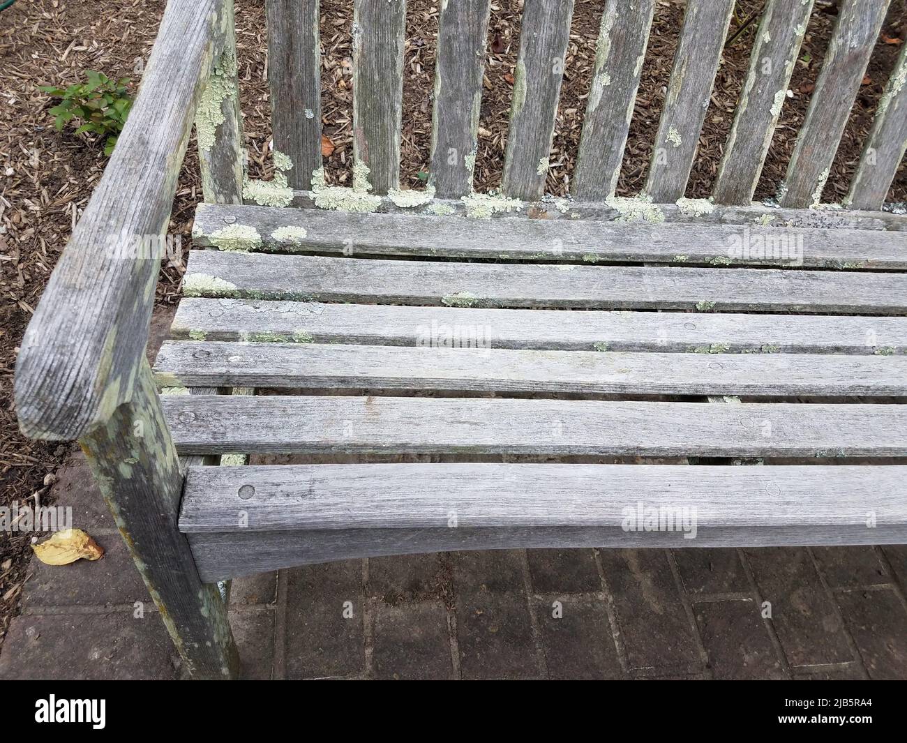 Lichen bench High Resolution Stock Photography and Images - Alamy