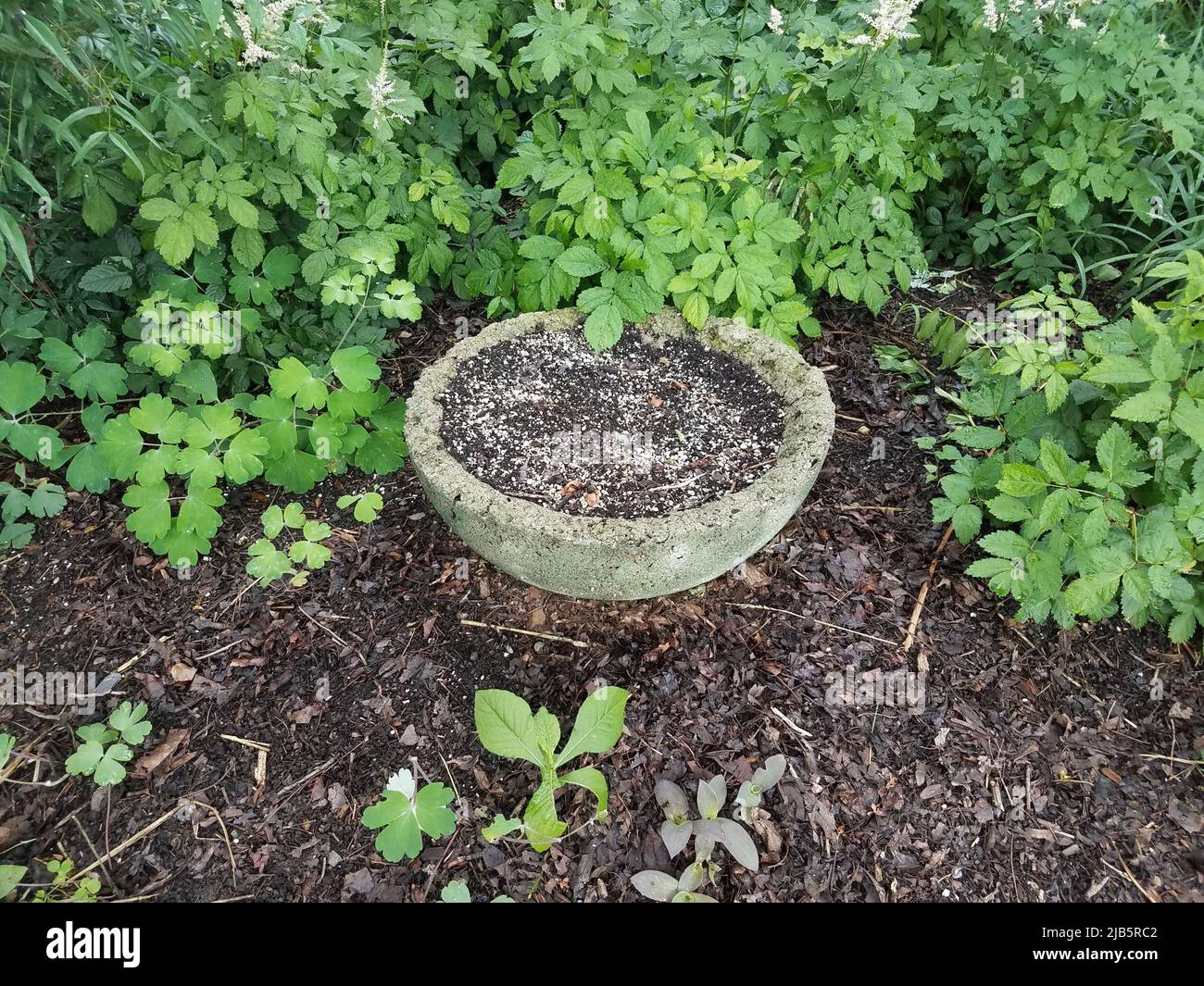 Pot with soil hi-res stock photography and images - Alamy