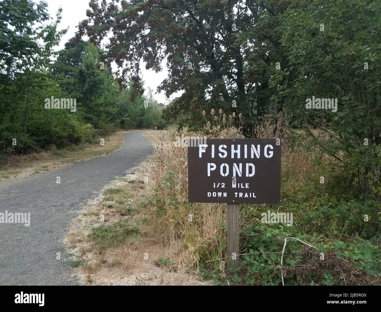 Fishing pond hi-res stock photography and images - Alamy